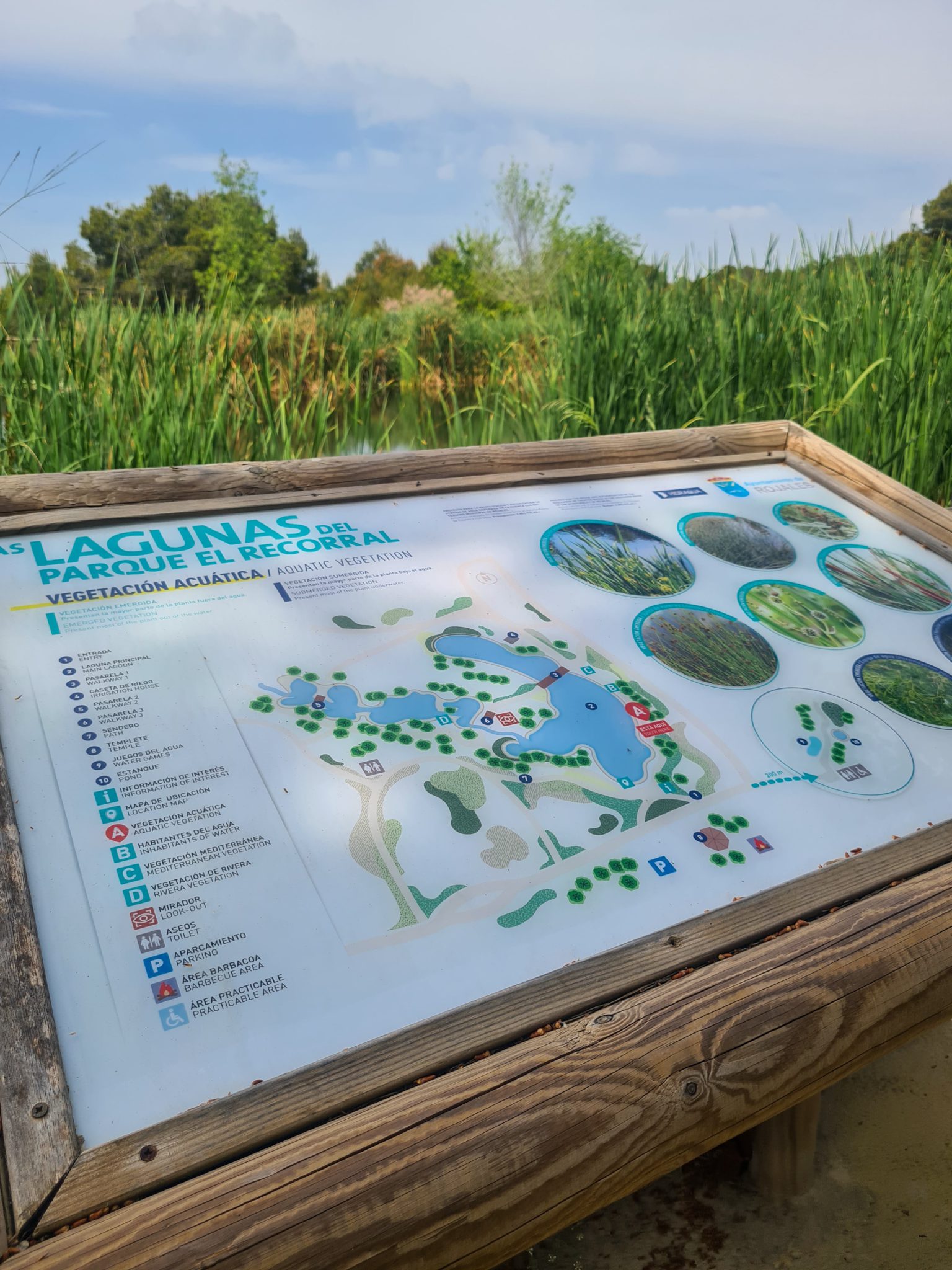 ¿Una ruta dónde los árboles hablan? Parque el Recorral-Rojales