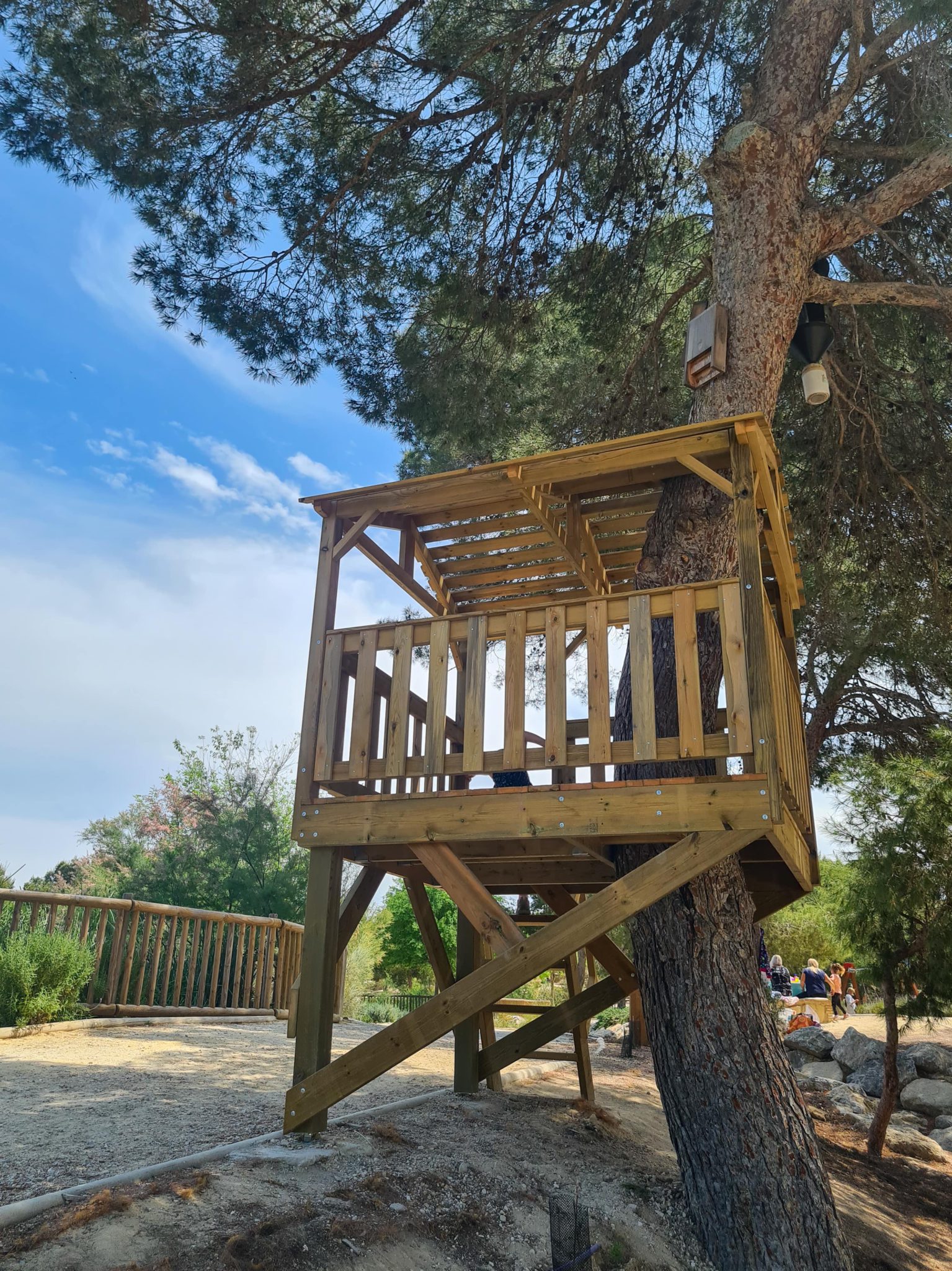 ¿Una ruta dónde los árboles hablan? Parque el Recorral-Rojales