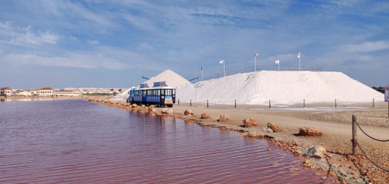 ¿Una ruta dónde los árboles hablan? Parque el Recorral-Rojales